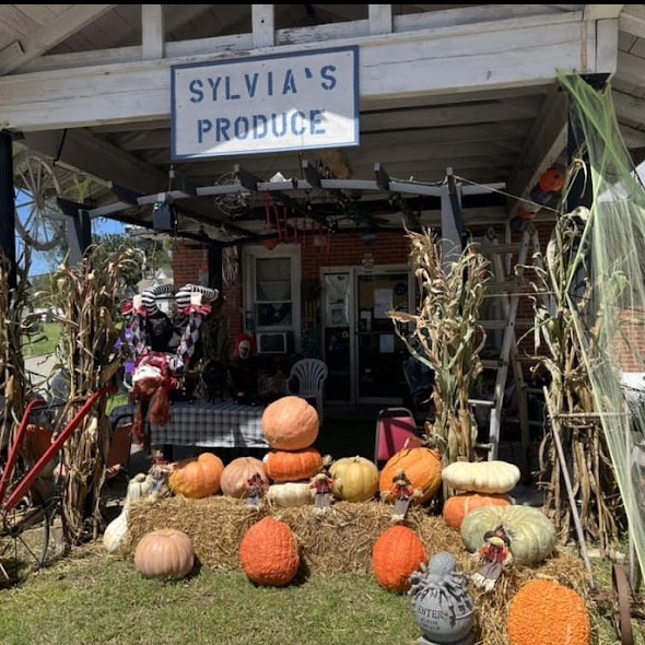 Visional | Sylvia%C3%A2%E2%82%AC%E2%84%A2s+Produce+